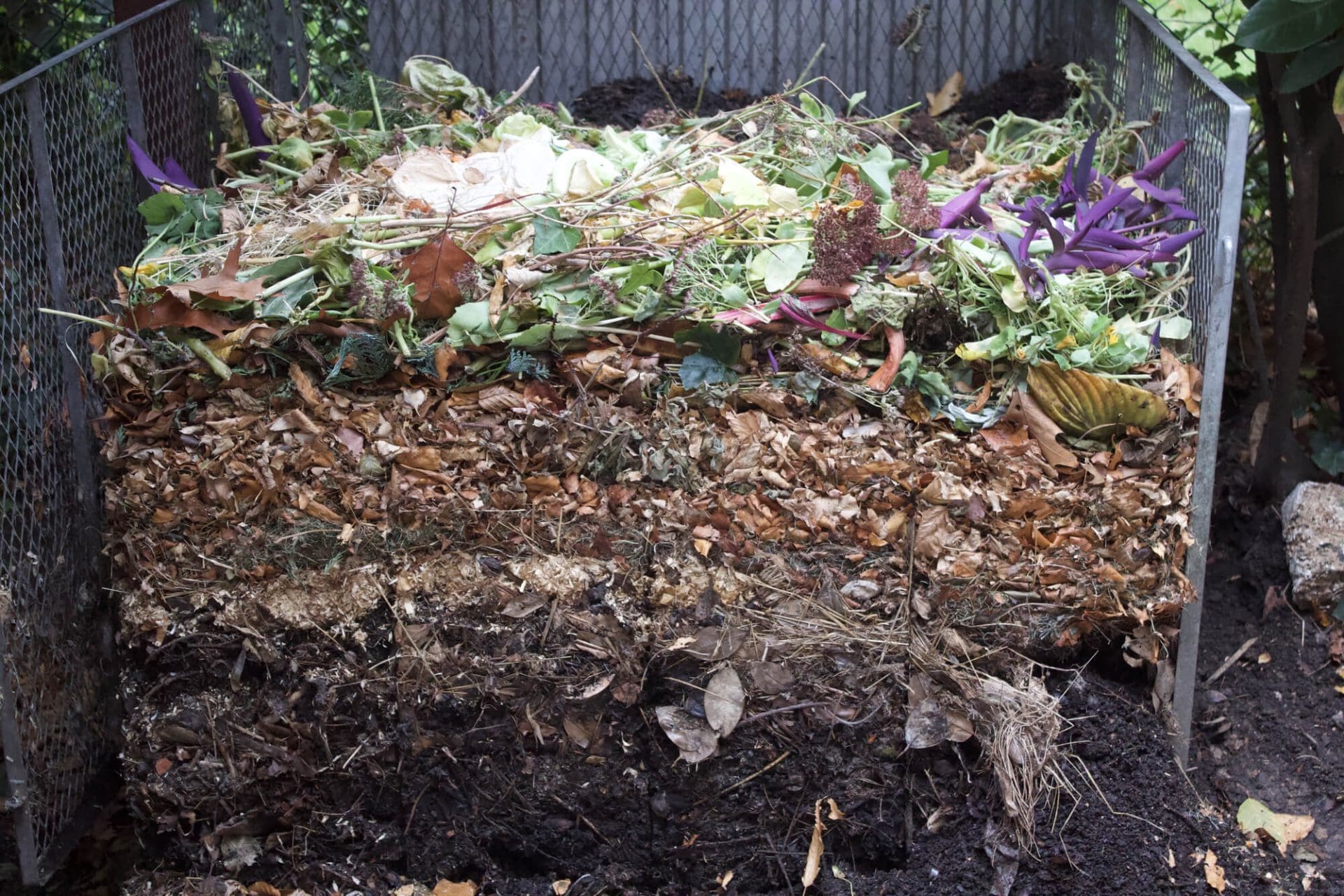 6 Tips for Composting at Home | GoPro Home Inspections, LLC